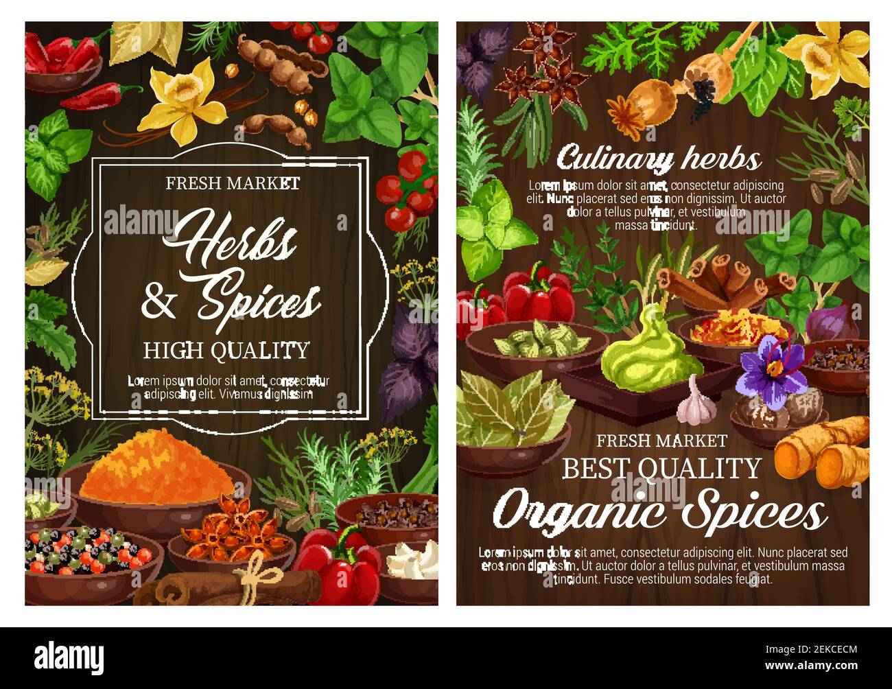 Mint parsley chilli Stock Vector Images - Alamy