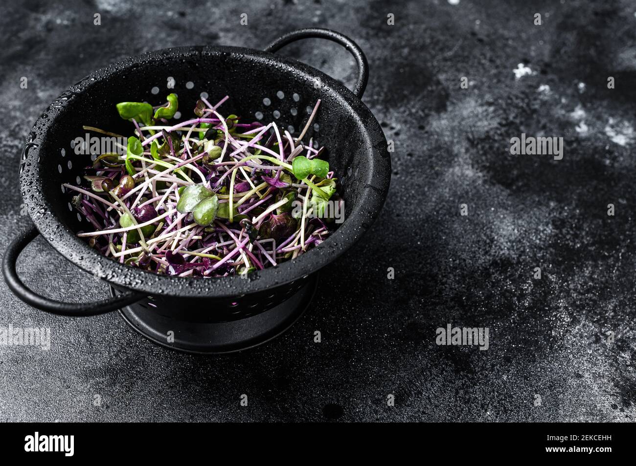 Raw radish cress sprouts in a colander. Black background. Top view ...