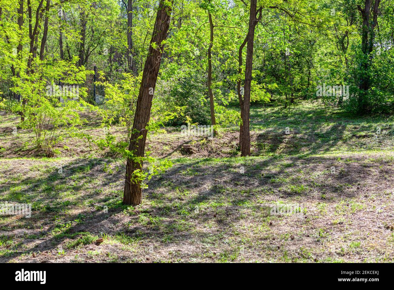 Nature month march outdoors hi-res stock photography and images - Alamy