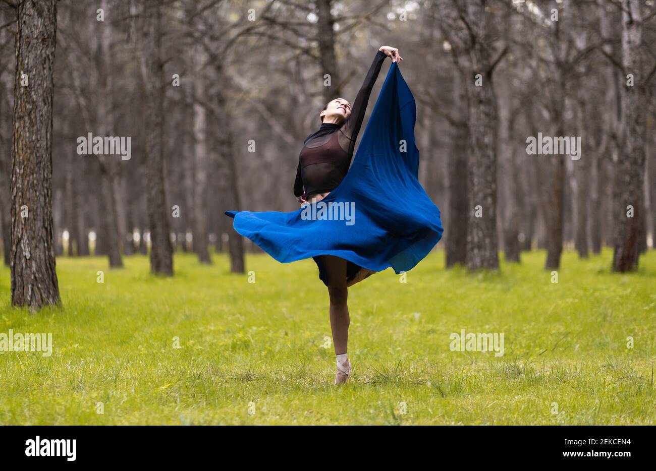 Young ballet dancer spinning while dancing in forest Stock Photo - Alamy