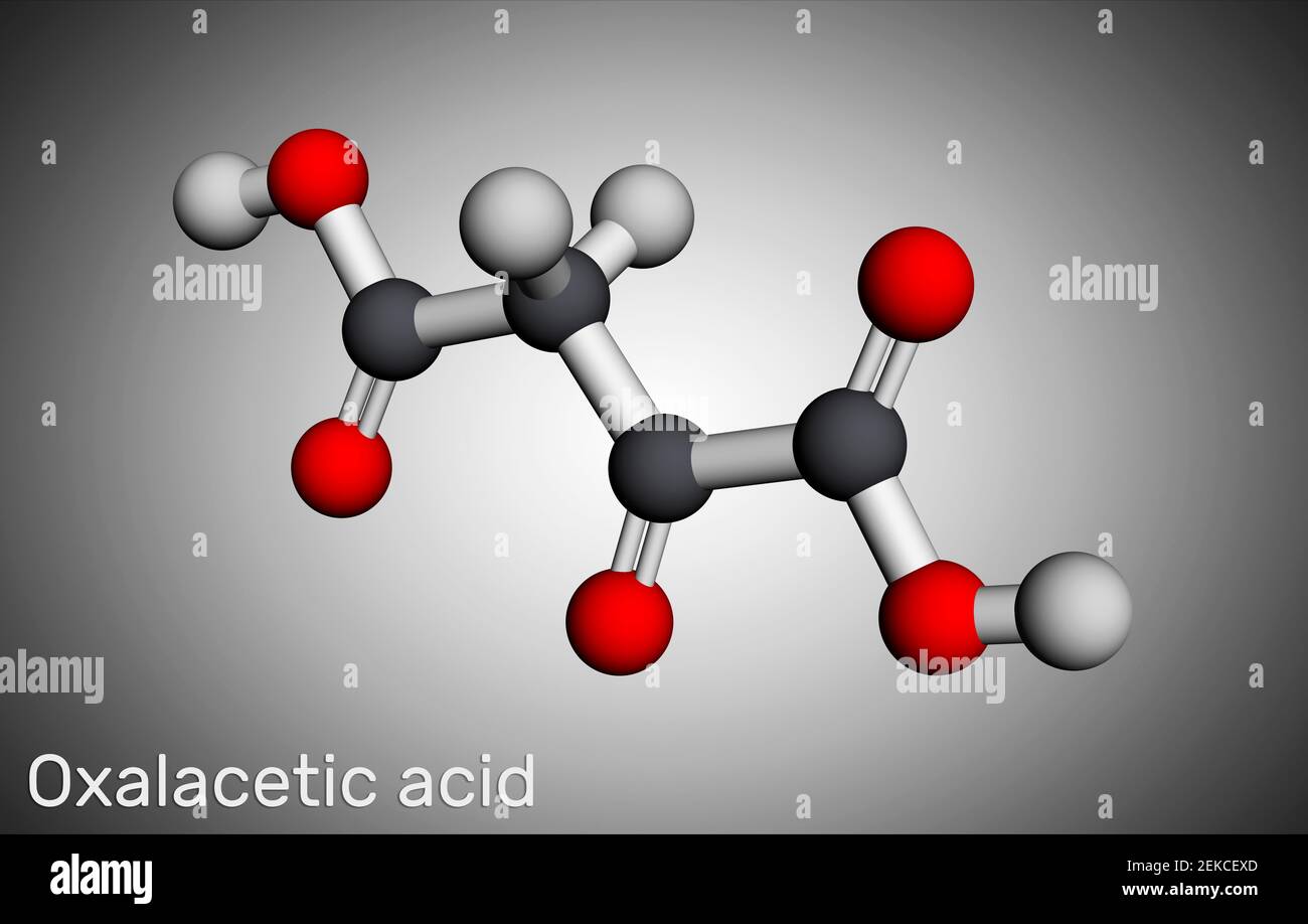 Citric acid cycle hi-res stock photography and images - Alamy