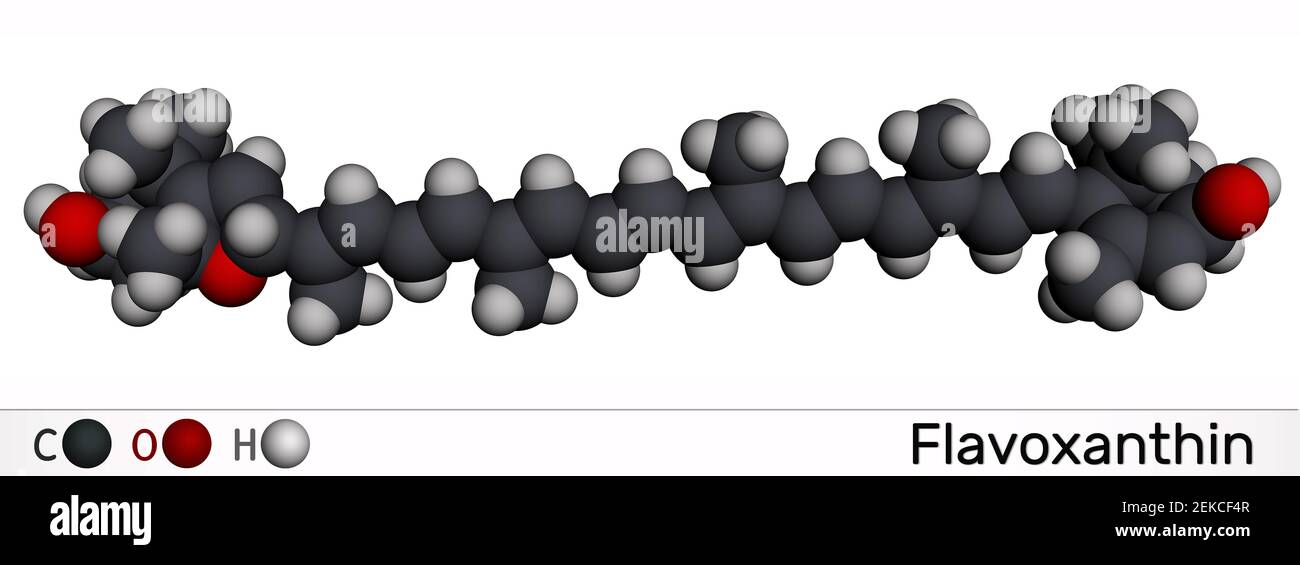 Flavoxanthin molecule. It is xanthophyll golden-yellow color pigment ...