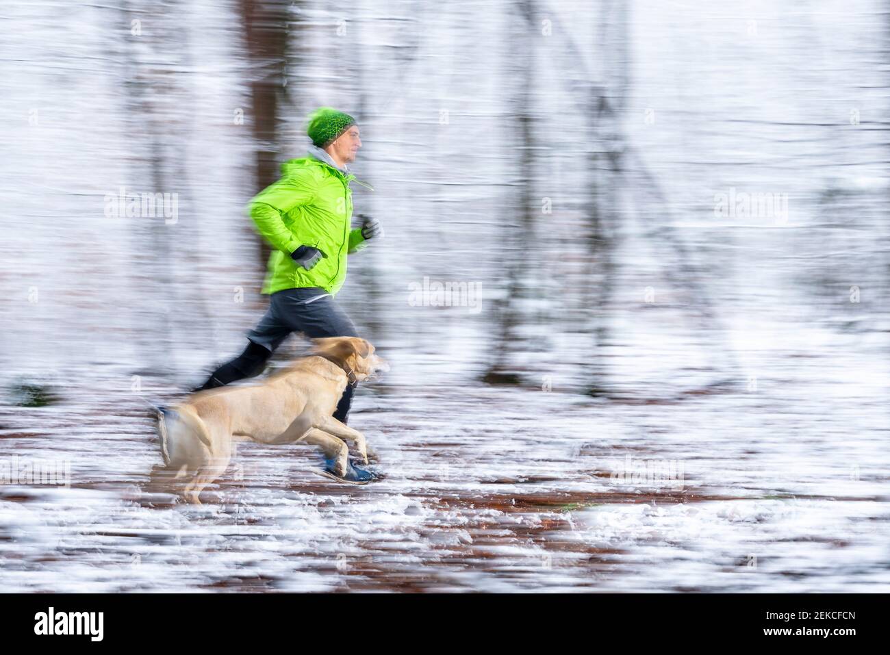 Man and dog running side view hi-res stock photography and images - Alamy