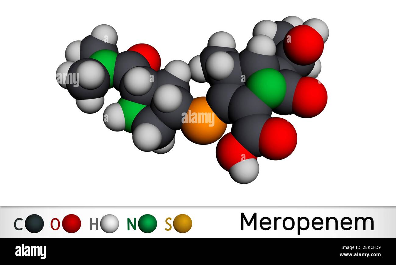 Meropenem molecule. It is broad-spectrum carbapenem antibiotic ...