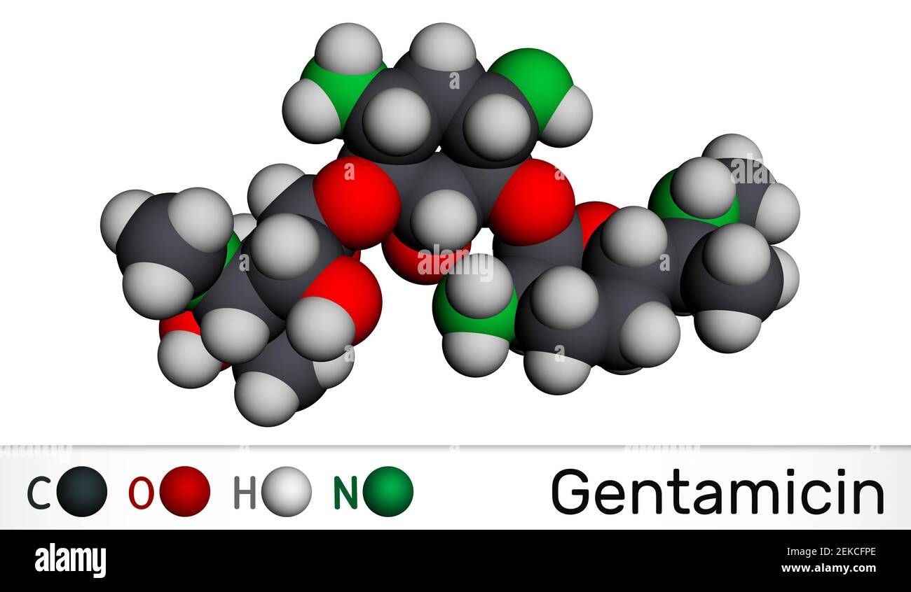 Gentamicin molecule. It is broad-spectrum aminoglycoside antibiotic ...