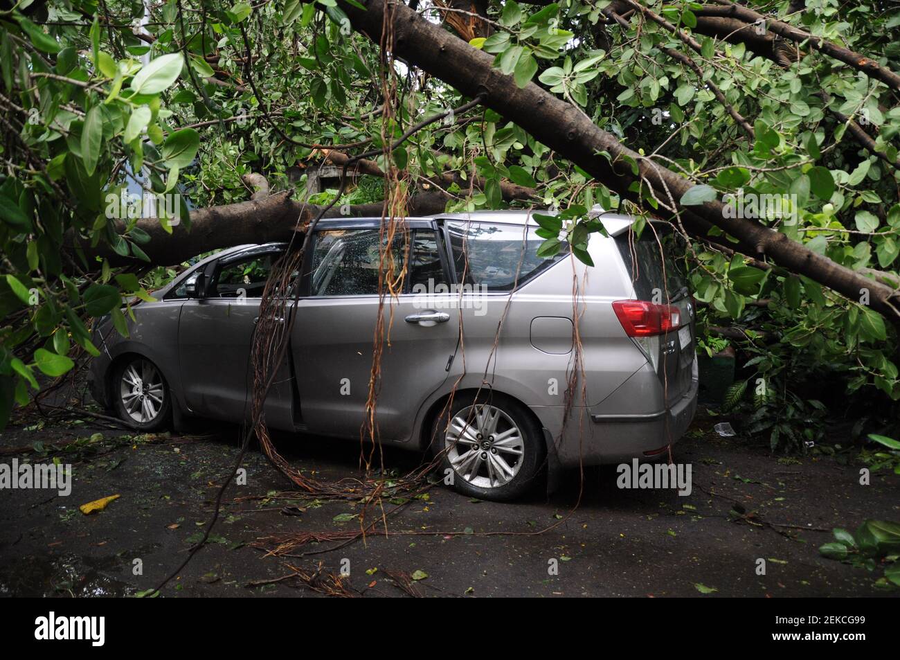 A vehicle is seen damaged by a tree that fell on top of it in the ...