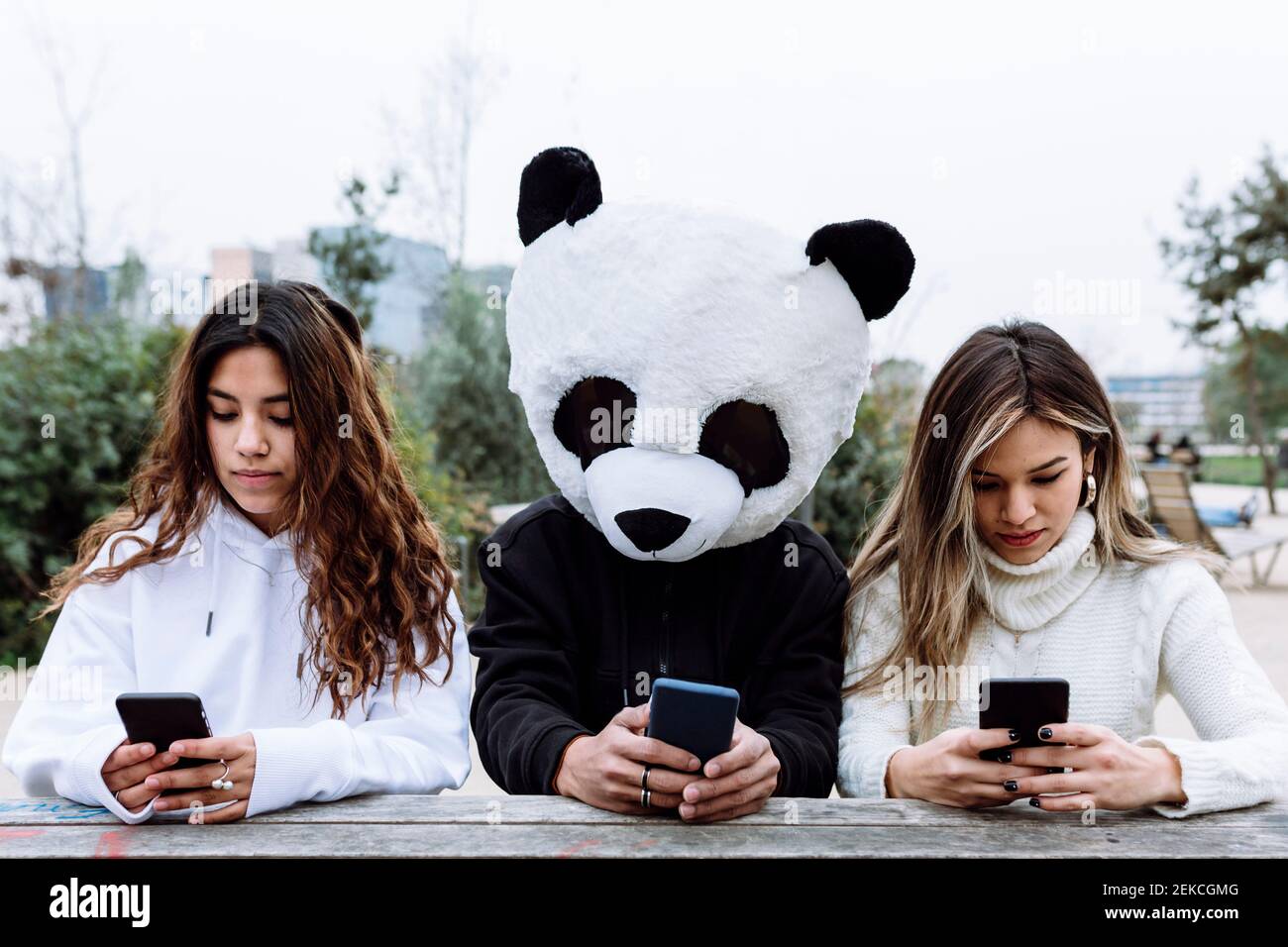 Three friends at park using smartphone hi-res stock photography and ...