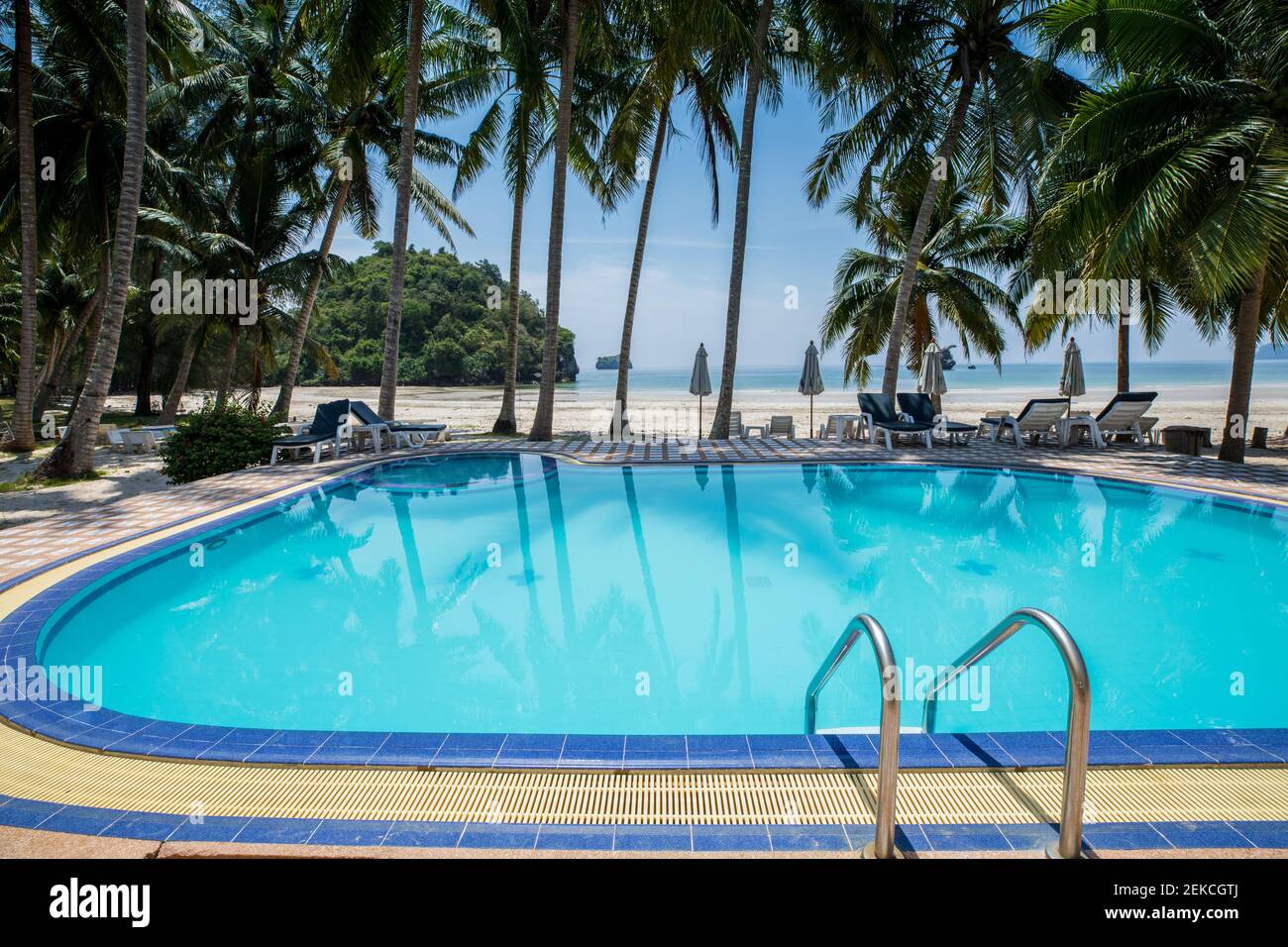 Swimming pool under coconut tree againts clear sky at tropicana Stock ...