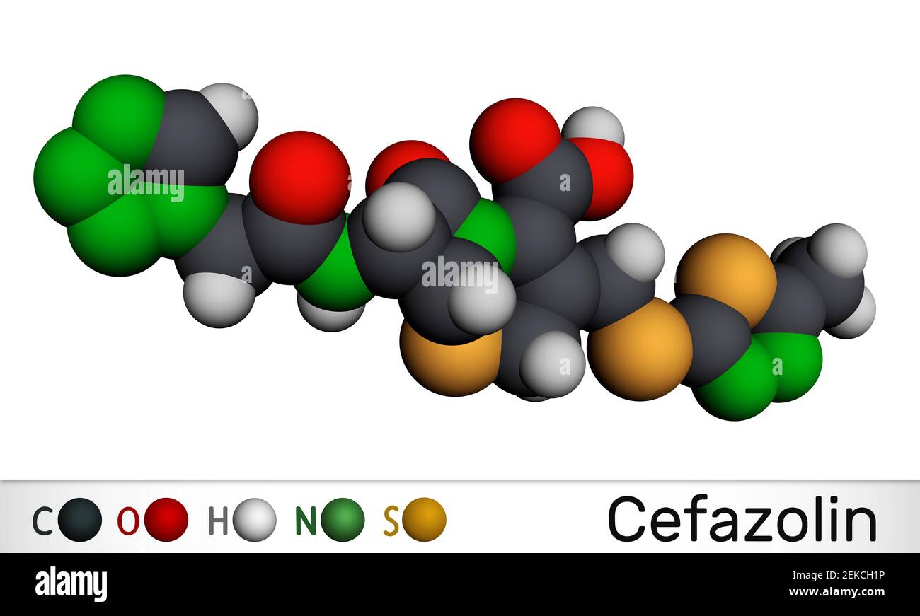 Cefazolin, cefazoline, cephazolin molecule. It is s beta-lactam ...