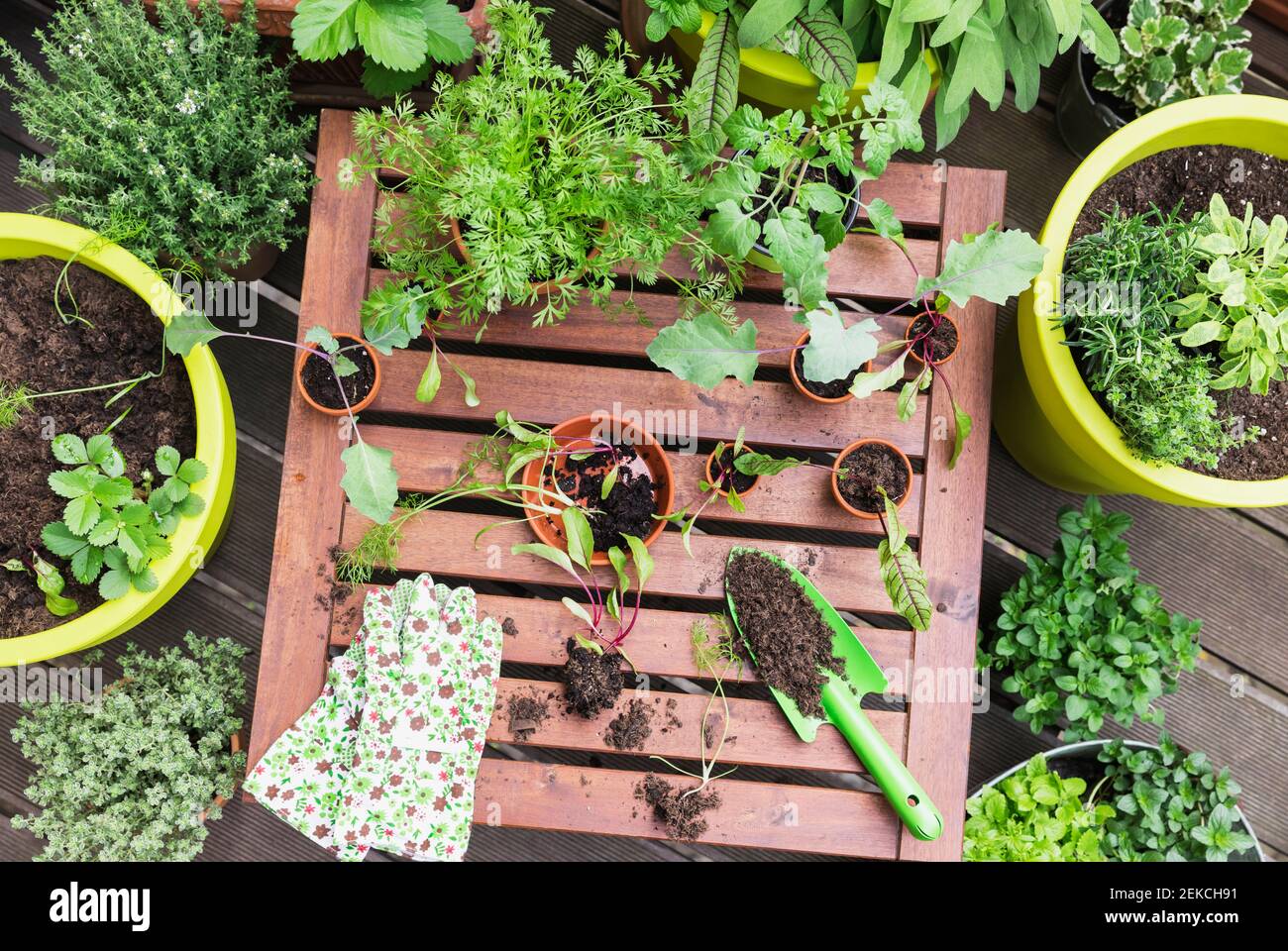 Assorted potted plants and gardening tools on balcony Stock Photo - Alamy