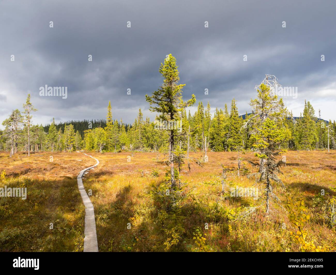 Sunny pathway hi-res stock photography and images - Alamy