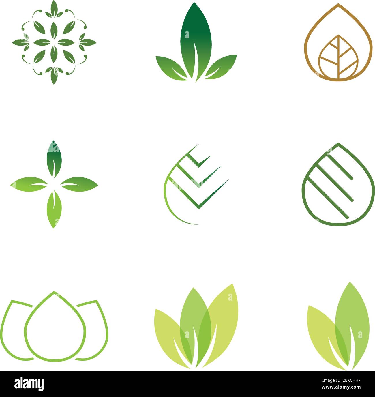 Leaves icon vector set isolated on white background. Various shapes of ...