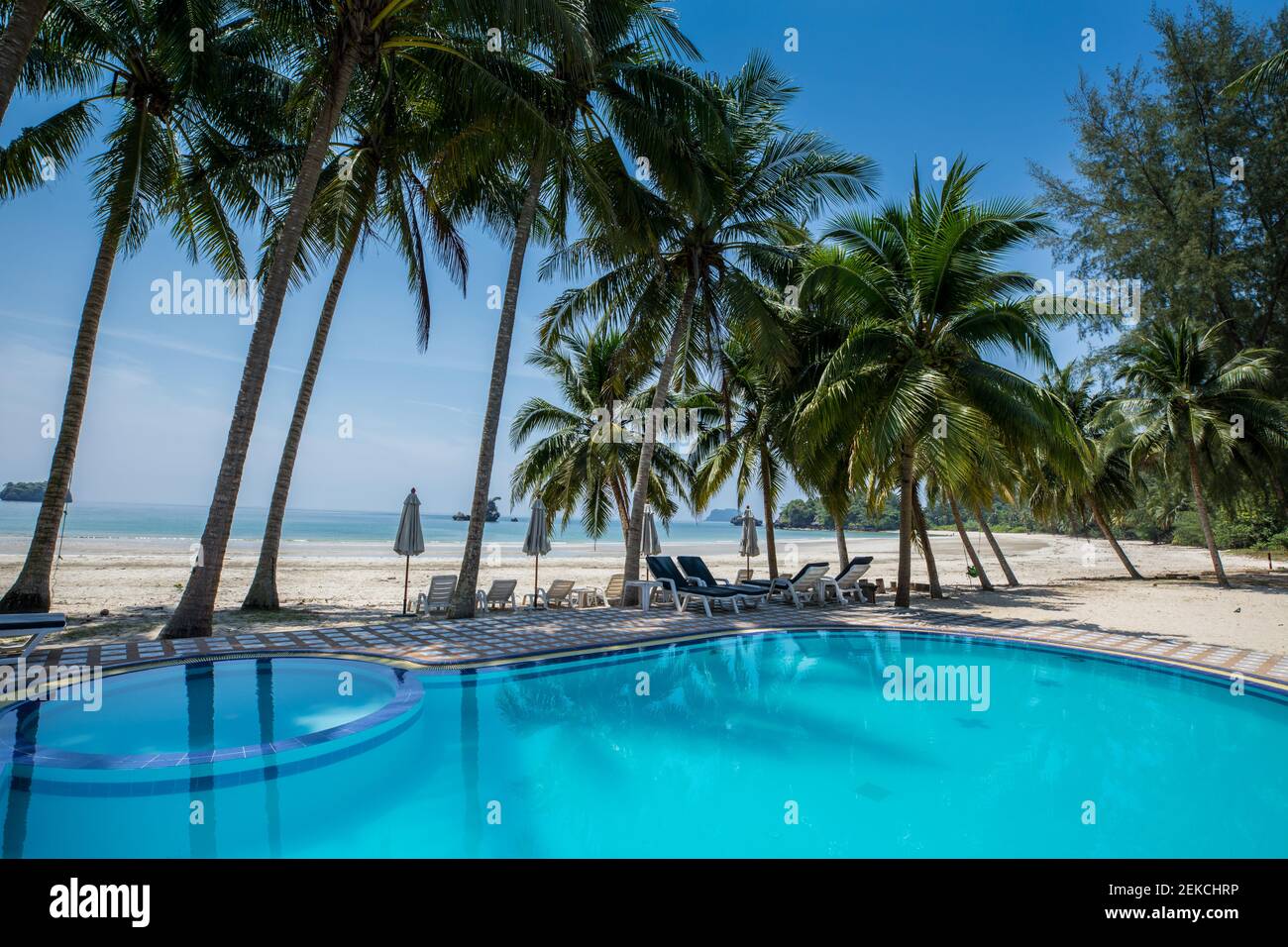 Swimming pool under coconut tree againts clear sky at tropicana Stock ...
