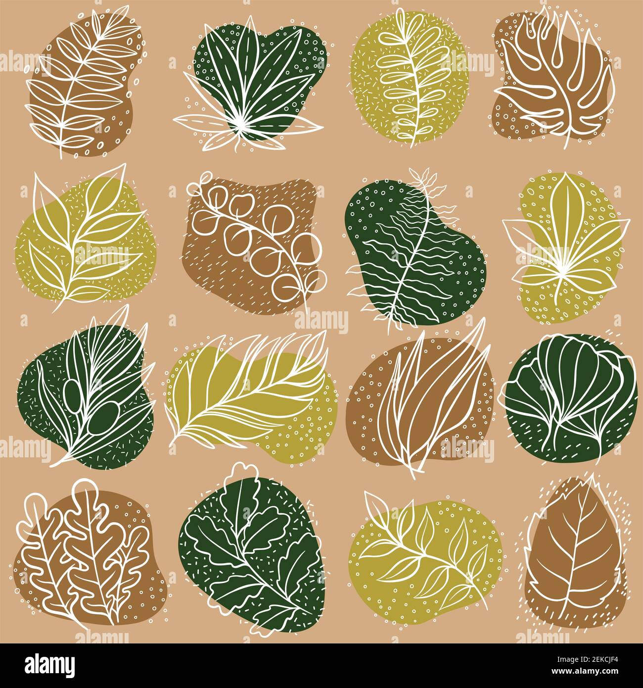 leaf line icon set, leaves - plant elements, icons, abstract spots ...
