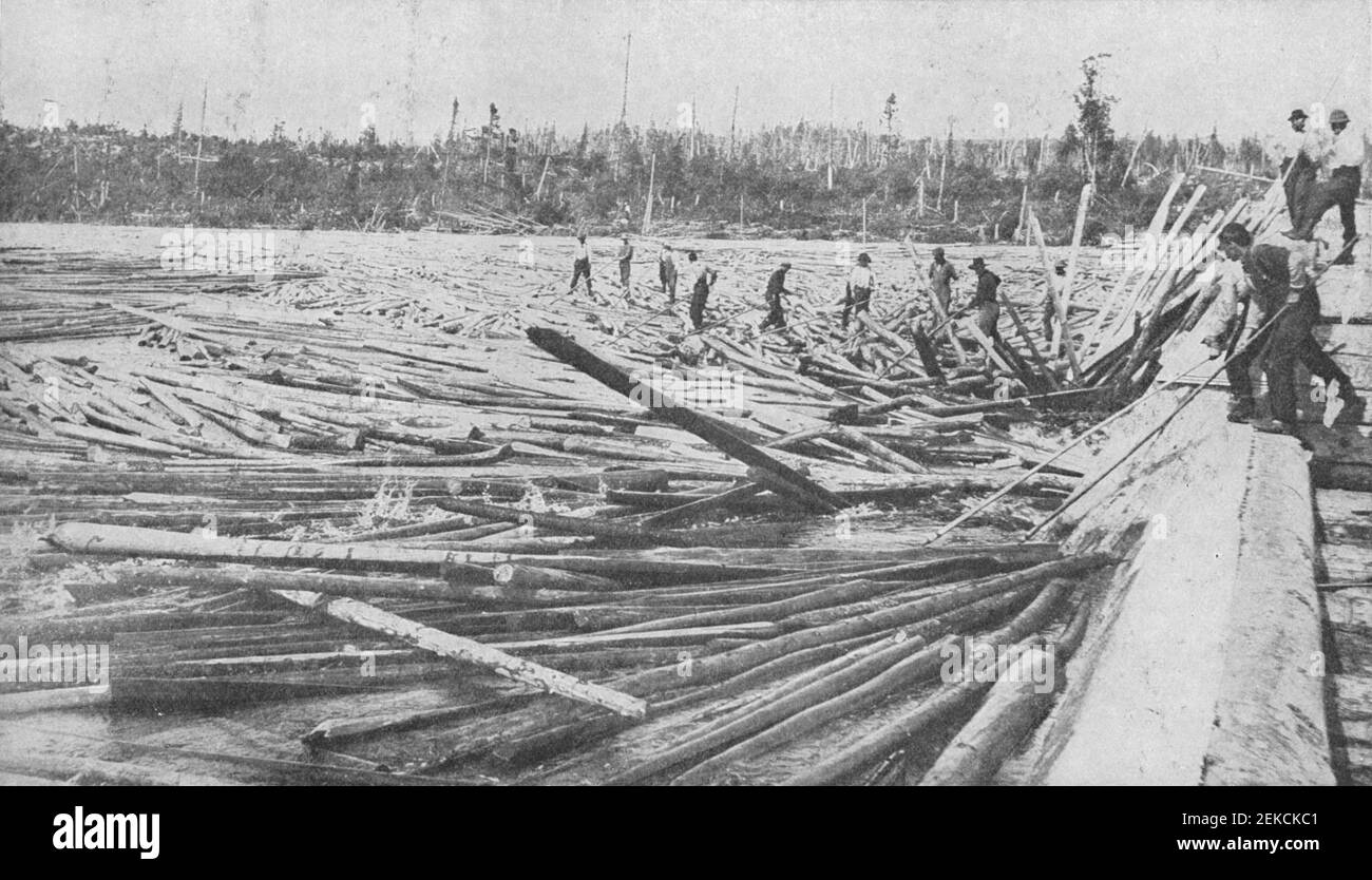 Early 20th century photo of men pushing timber rafting logs on a river ...