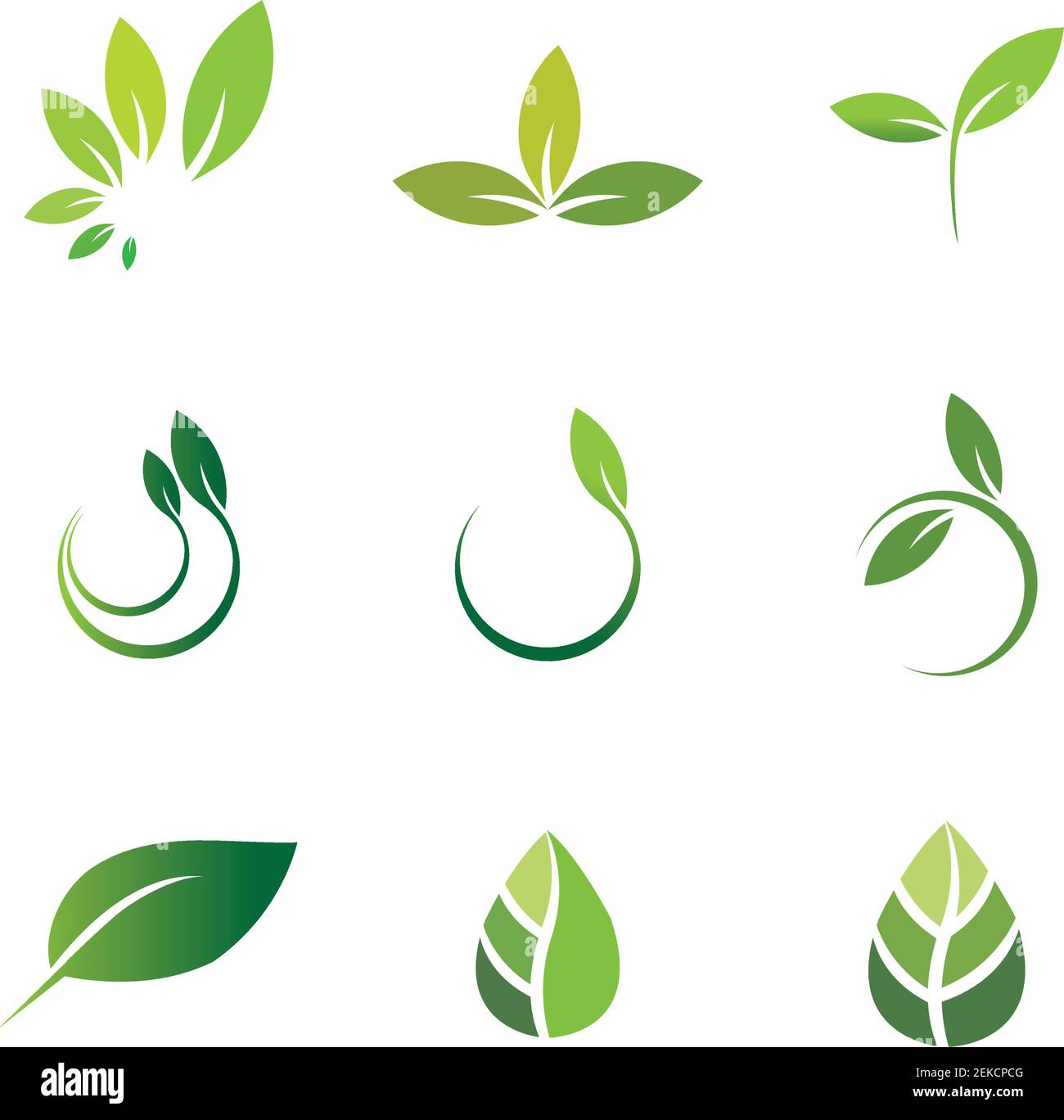 Leaves icon vector set isolated on white background. Various shapes of ...