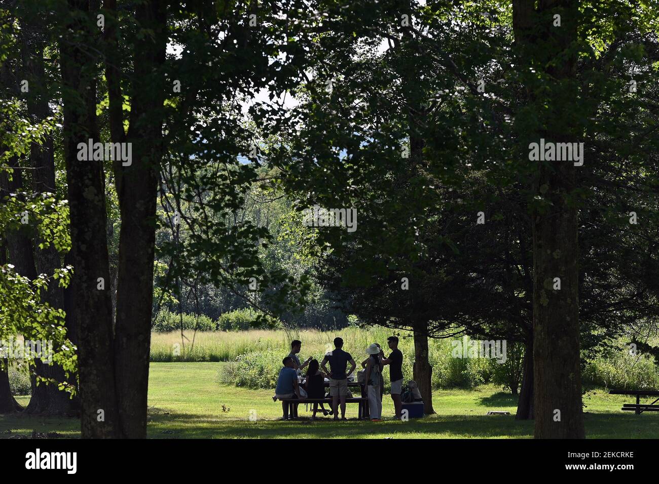 With picnic tables spaced apart to maintain social distancing, poeple ...