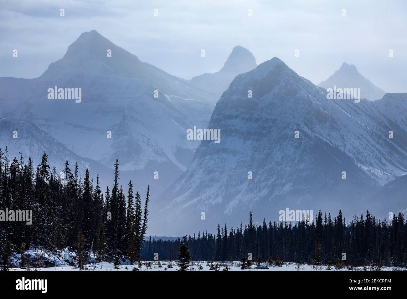 Rocky Mountains, Jasper National Park, Alberta, Canada Stock Photo - Alamy