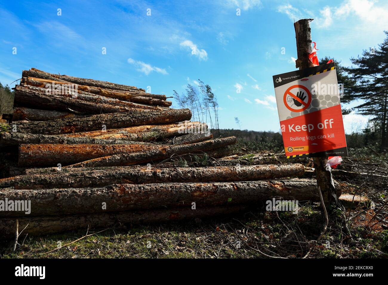 Environmental impacts of deforestation hi-res stock photography and ...