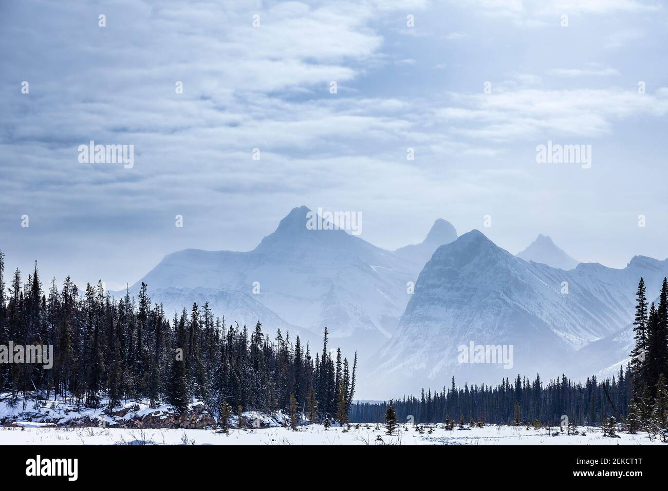 Mount christie jasper national park hi-res stock photography and images ...