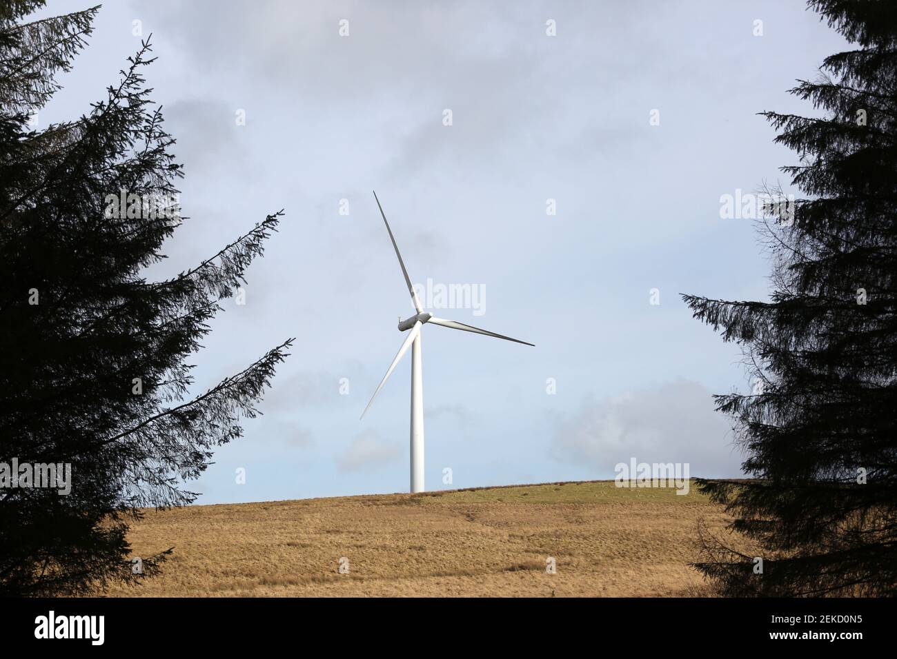 Hadyard Hill Wind Farm, nr Barr, South Ayrshire Scotland, UK The wind ...