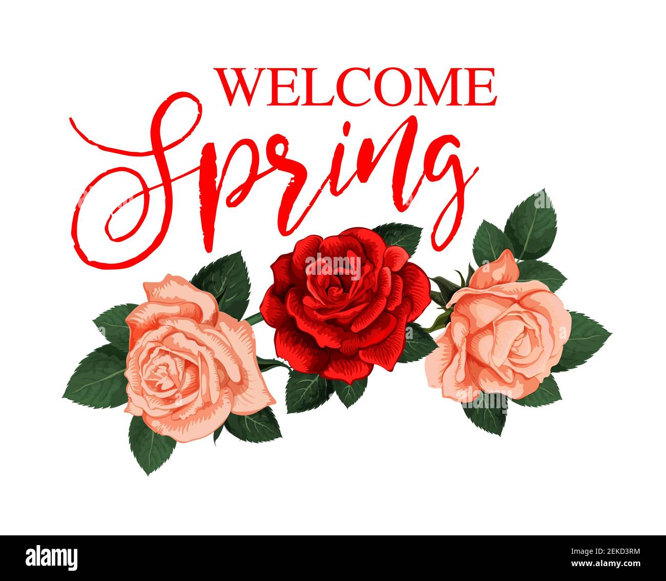 Welcome bouquet Stock Vector Images - Alamy