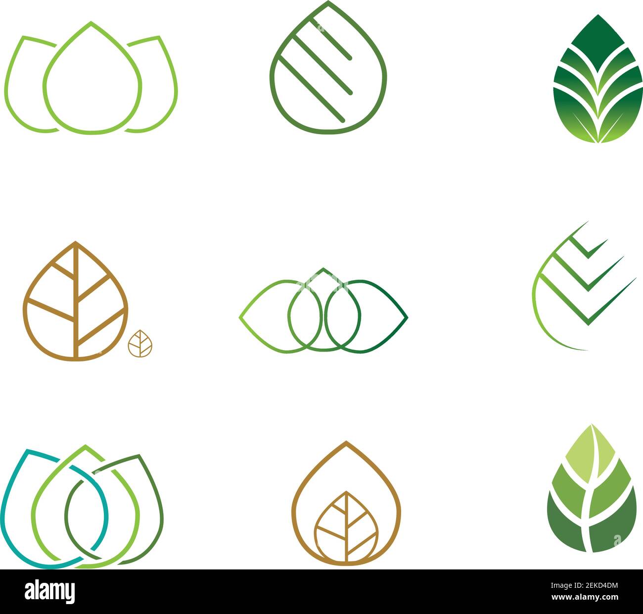 Leaves icon vector set isolated on white background. Various shapes of ...