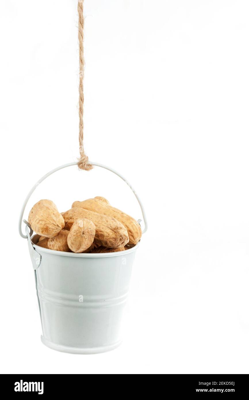 A full bucket of peanuts hanging from a rope. White background Stock ...