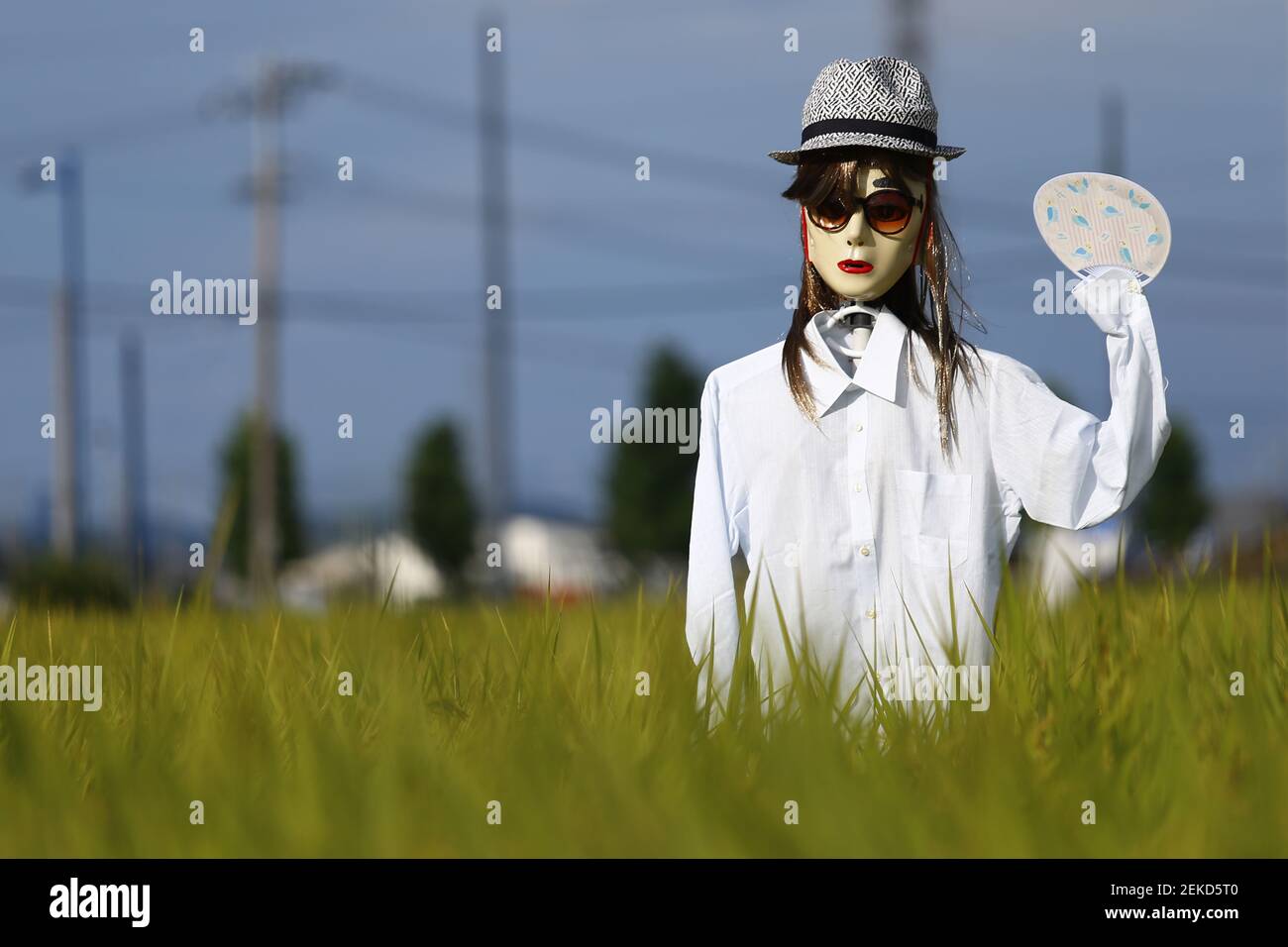 A scarecrow mannequin in the shape of a human with a hat, sunglasses ...