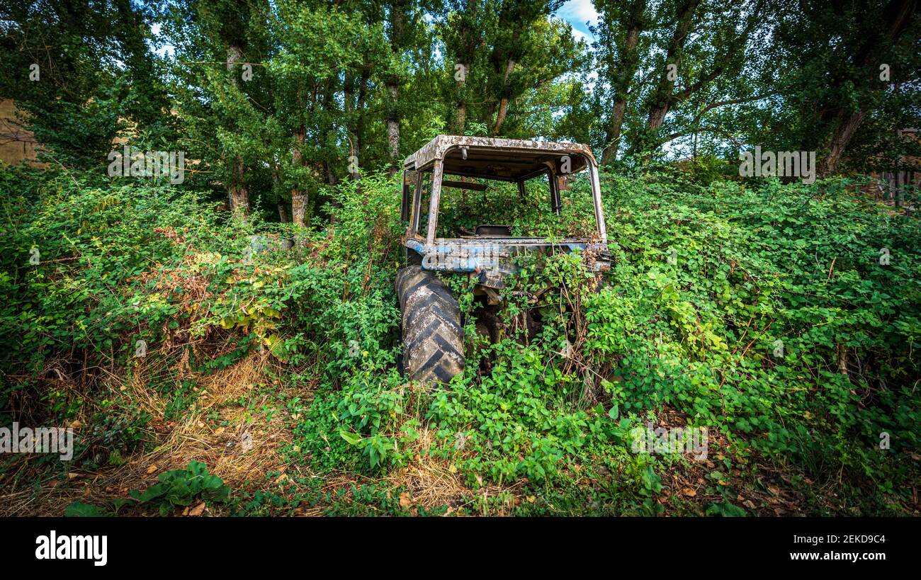 Abandoned tractor covered by bramble in the wild Stock Photo - Alamy