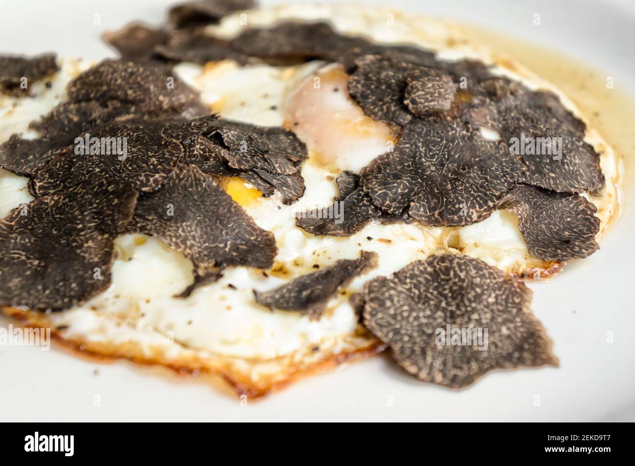 Close up fresh black truffles hi-res stock photography and images - Alamy