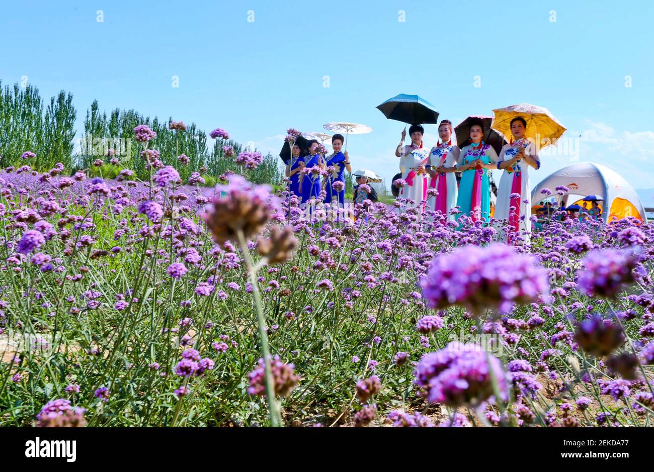 Gansuï¼ŒCHINA-A qipao lover performs a qipao show to tourists in Liusha ...