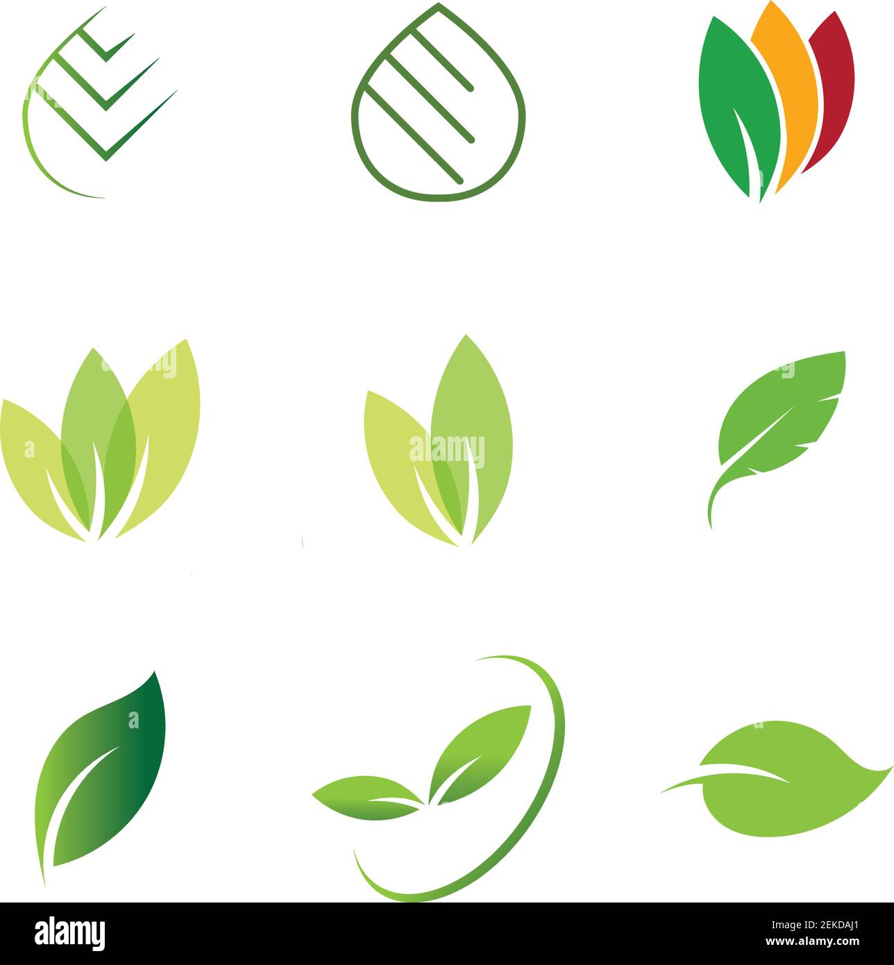 Leaves icon vector set isolated on white background. Various shapes of ...