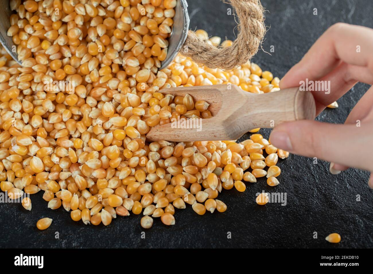 Hand holding corn seed hi-res stock photography and images - Alamy