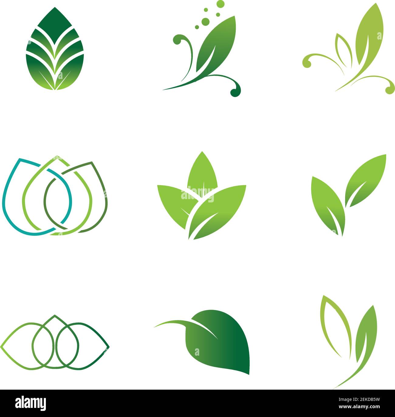Leaves icon vector set isolated on white background. Various shapes of ...