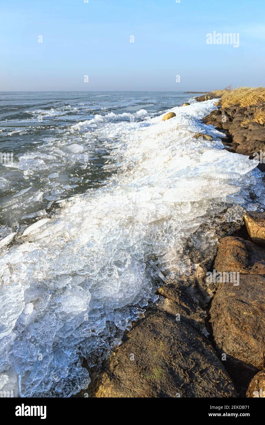 A shoreline ice pileup on the IJsselmeer, viewed from ...