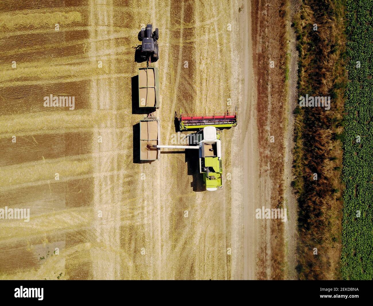 Loading wheat hi-res stock photography and images - Alamy