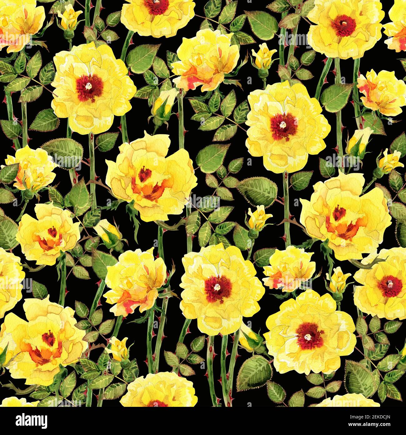 Seamless pattern of watercolor yellow roses. Illustration of flowers ...