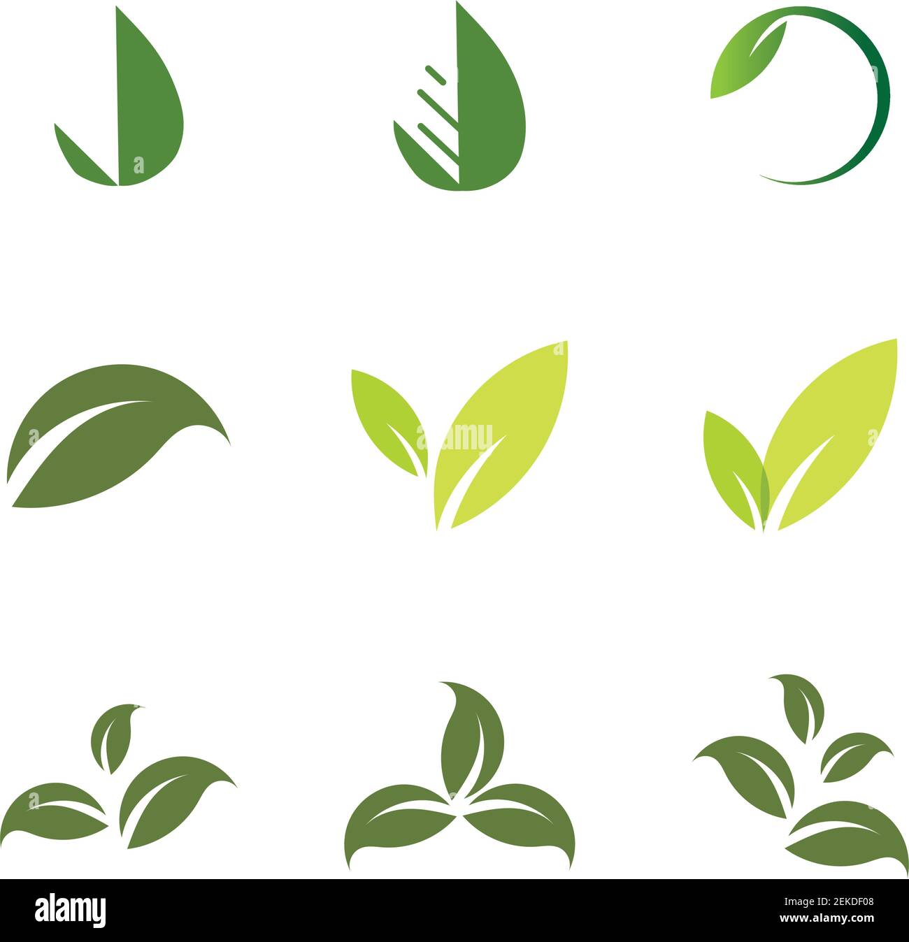 Leaves icon vector set isolated on white background. Various shapes of ...