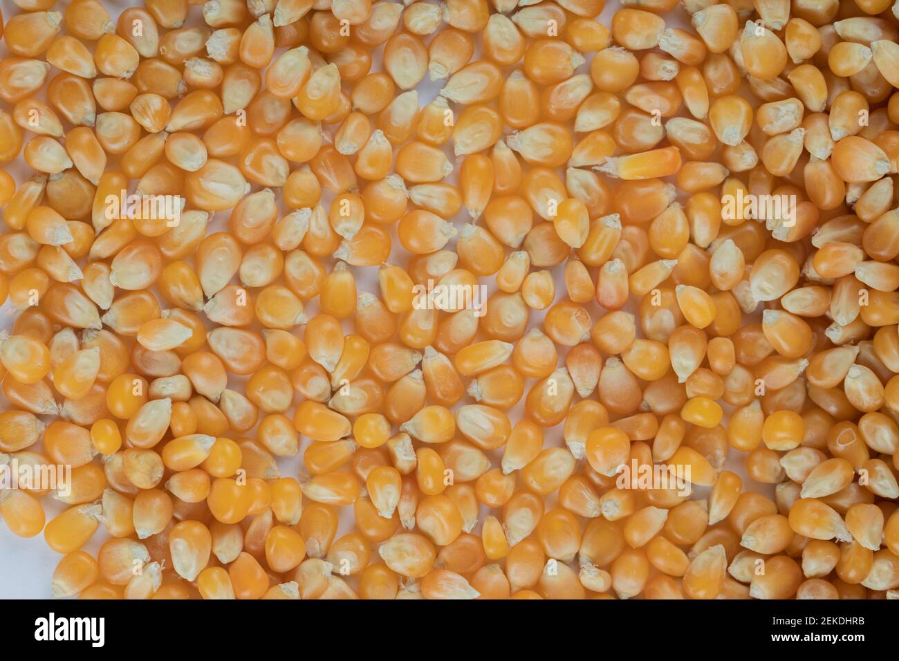 Heap of raw popcorn grains texture background Stock Photo - Alamy
