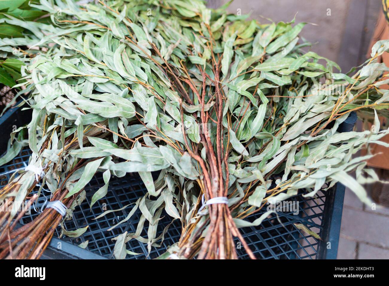A broom made of dried branches, for the steam room in the bath. Market ...
