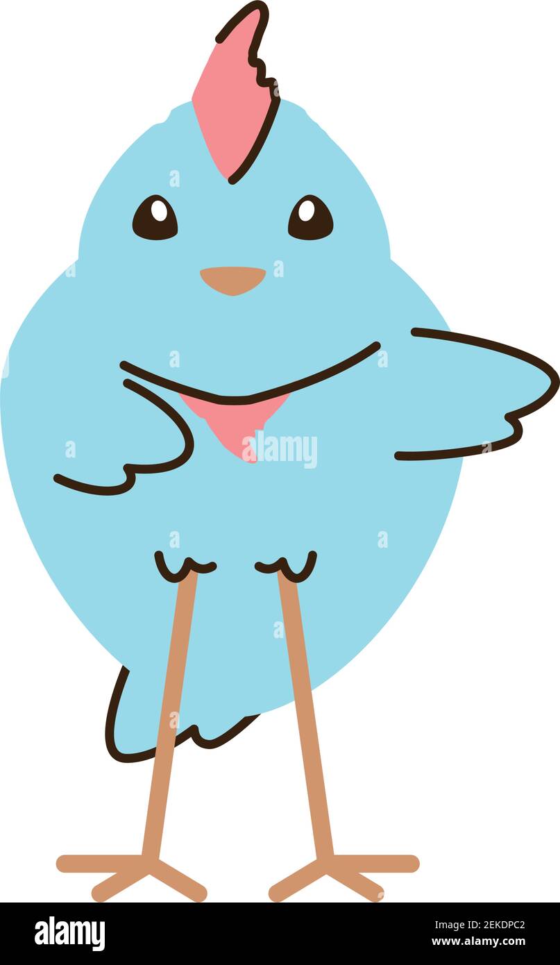 funny blue chicken bird animal vector illustration cartoon isolated ...