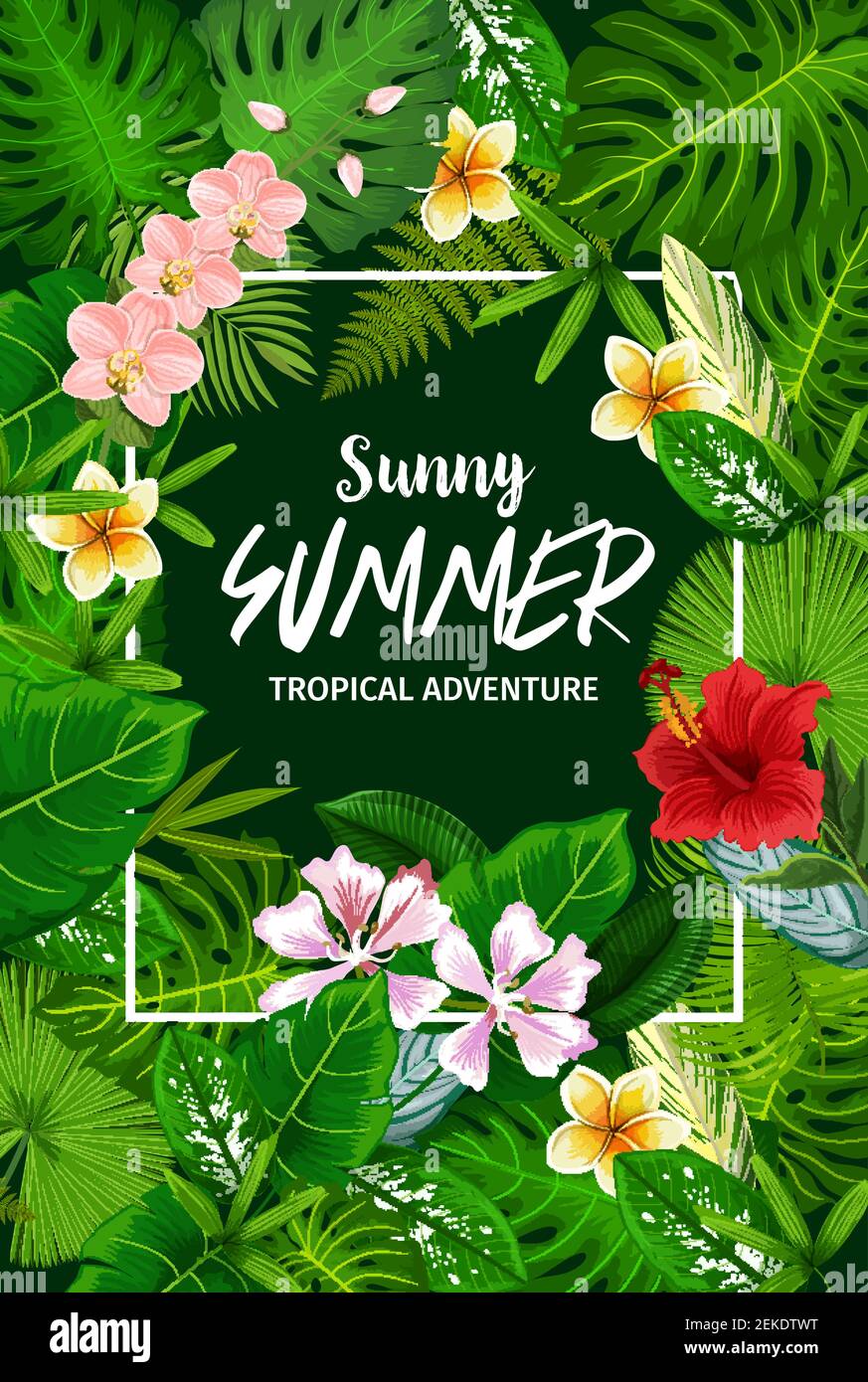 Orchid tree rainforest Stock Vector Images - Alamy