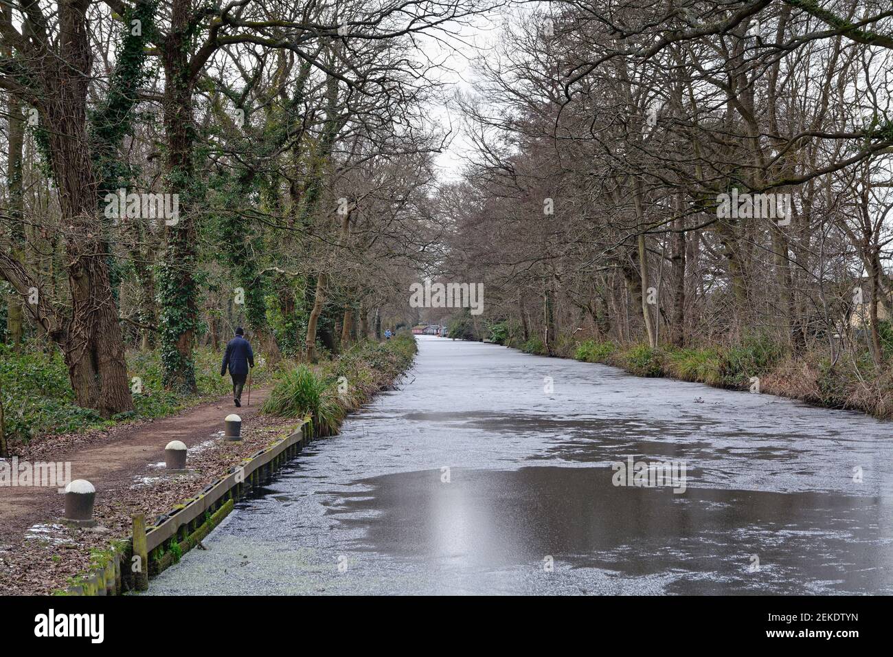 A frozen and ice covered Basingstoke canal at New Haw on a cold winters ...