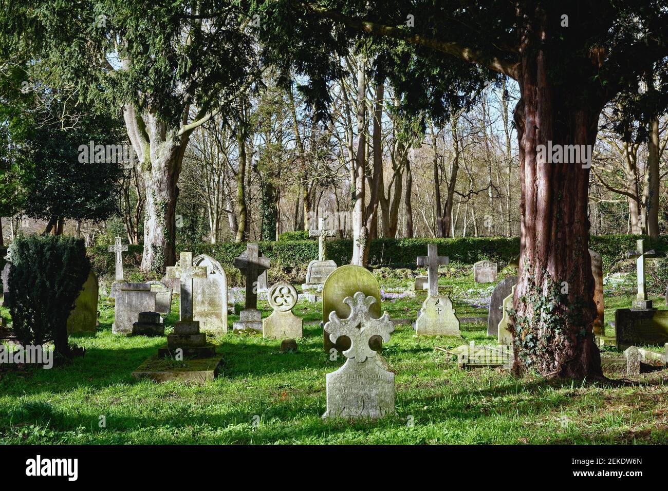Old shepperton hi-res stock photography and images - Alamy