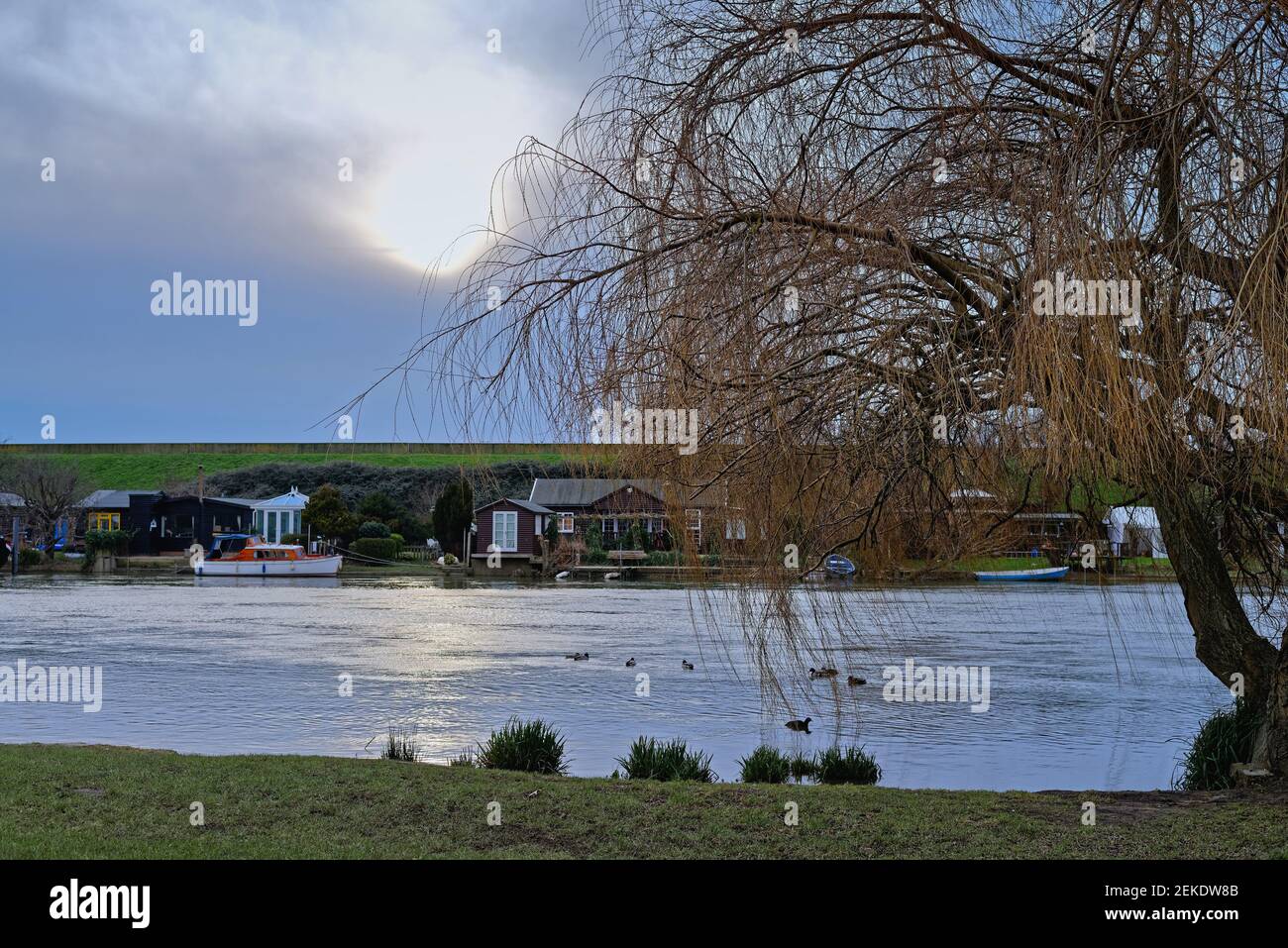 The River Thames at Laleham Reach at dusk on a winters day, Surrey ...