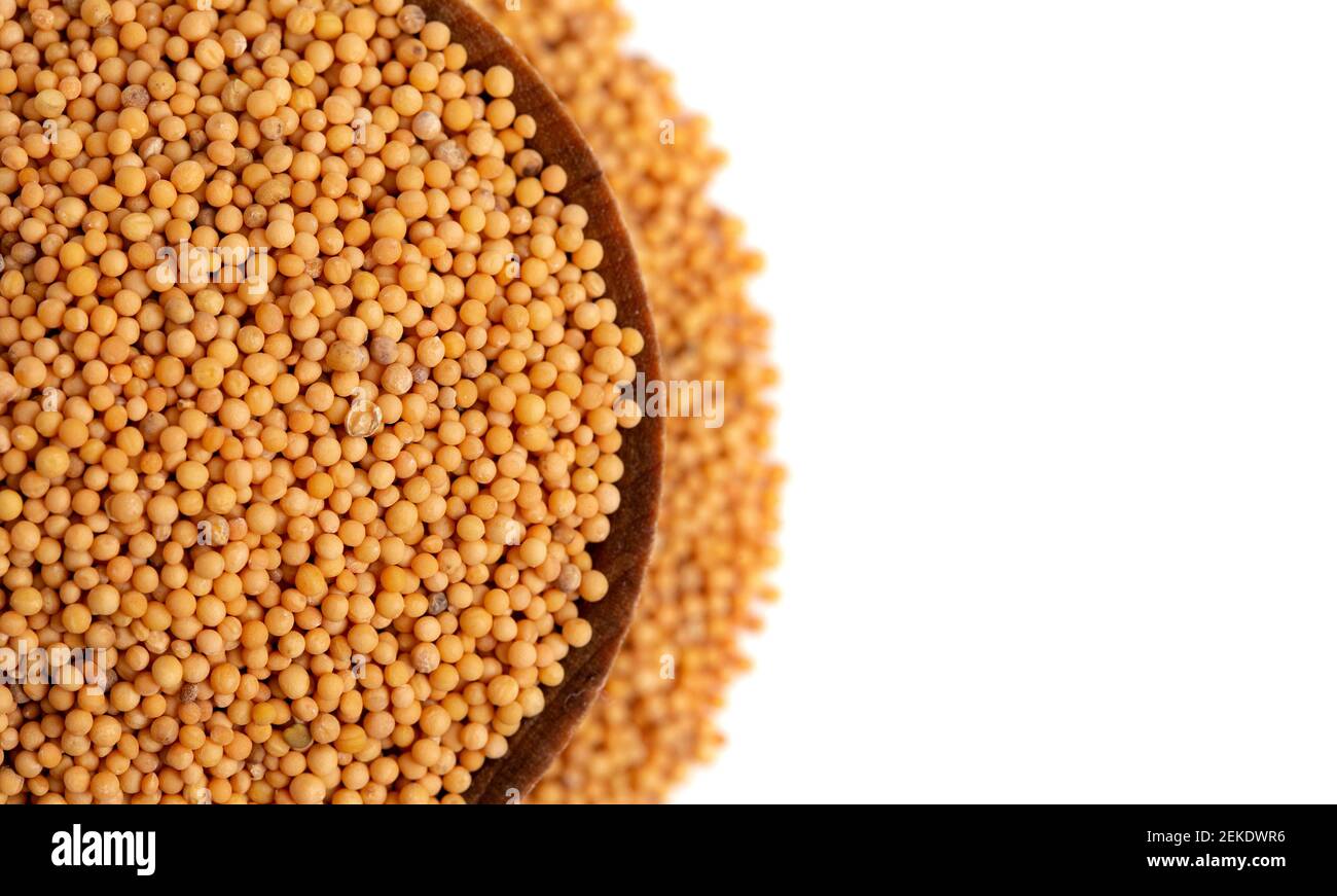 Spilled mustard seeds hi-res stock photography and images - Alamy