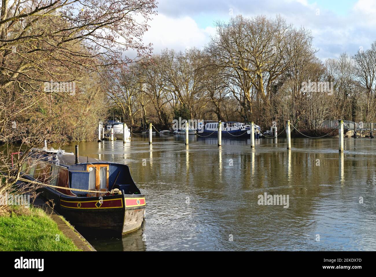 The river Thames at Shepperton on a sunny winters day, Surrey England ...
