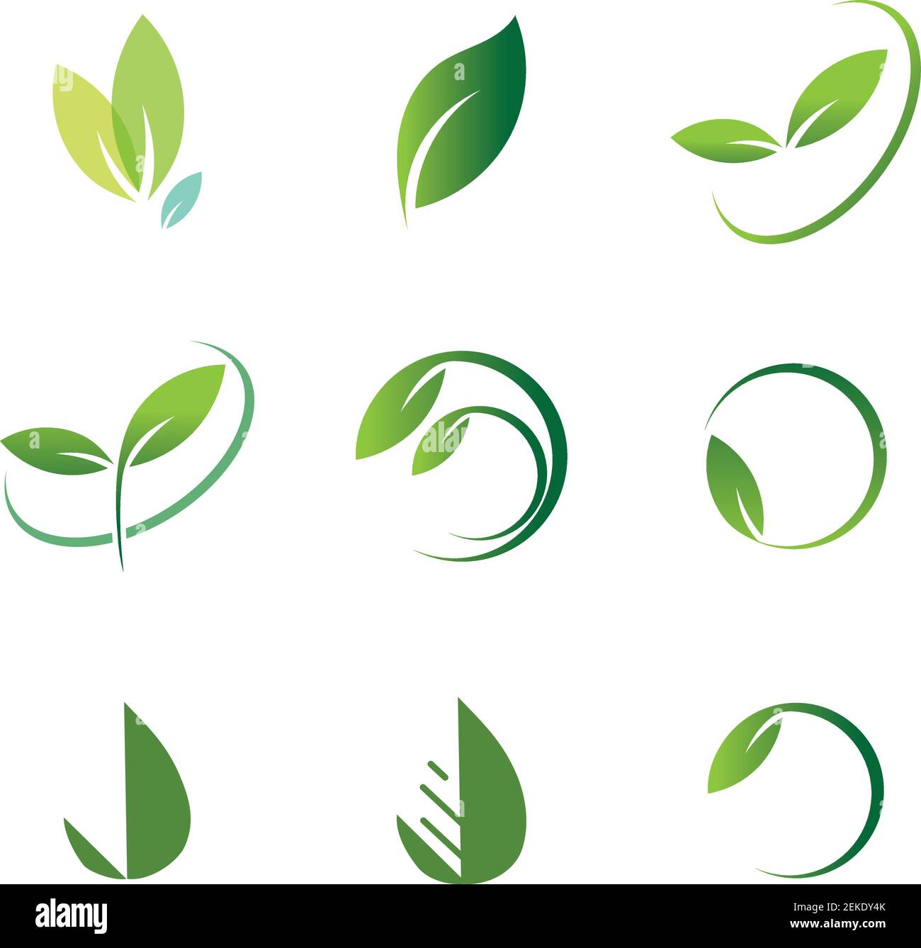 Leaves icon vector set isolated on white background. Various shapes of ...