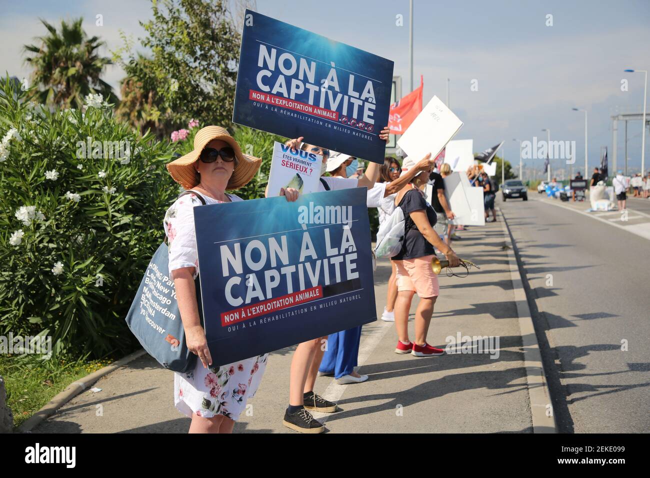 Activists holding several placards during the demonstration. Animal ...